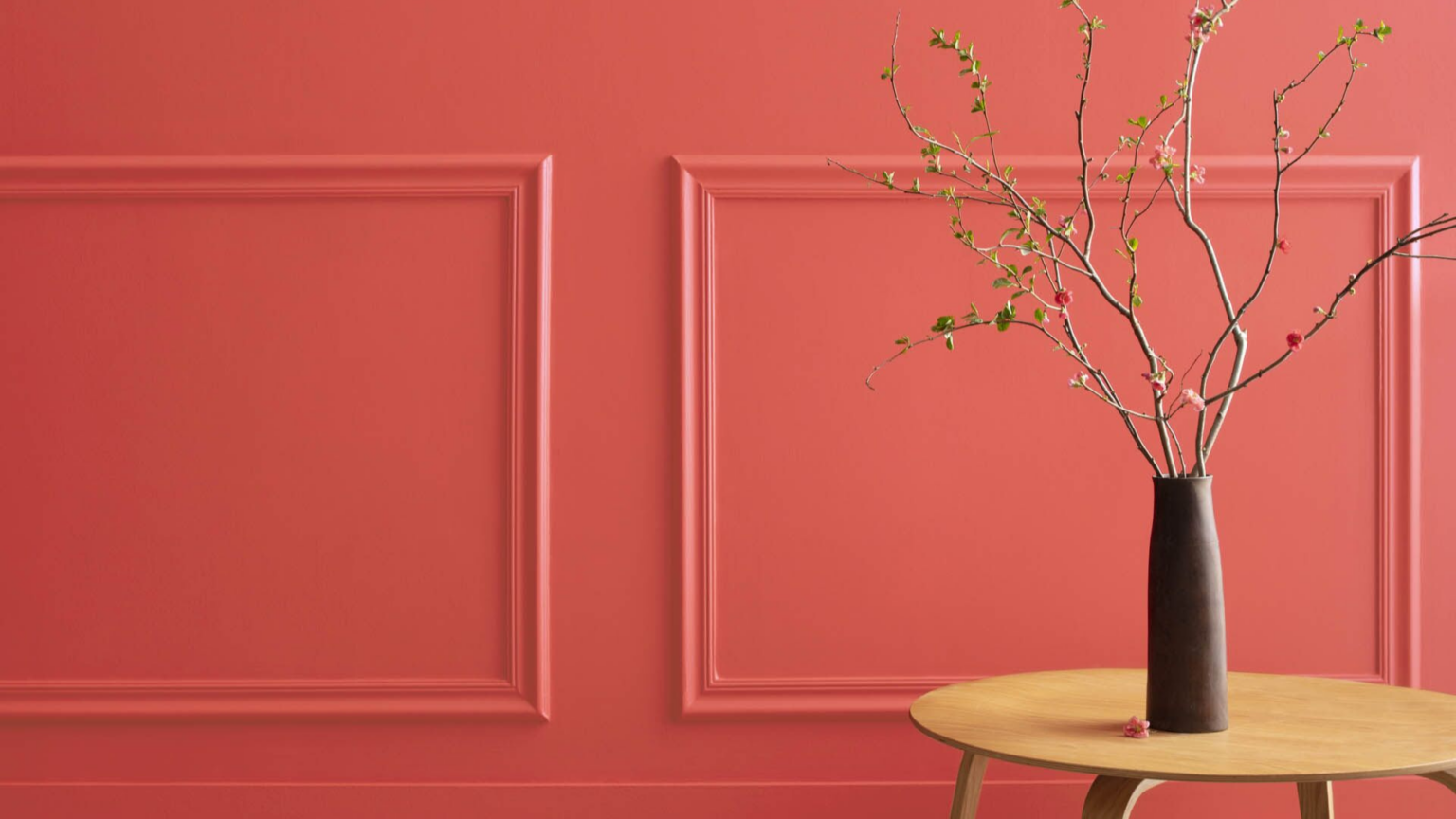 Why Do We Choose Benjamin Moore Paints? | Rooster's Paint Center